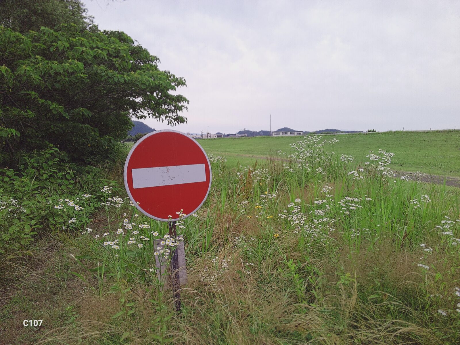 【HiGrace C107 レビュー】約1万円で購入できる Widevine L1 認証10インチ格安タブレット - ガジェチェス NEO