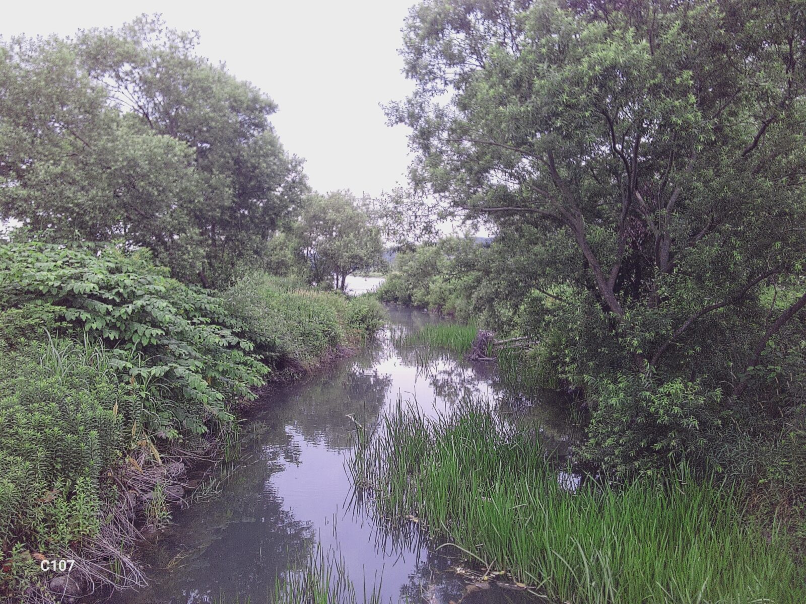 【HiGrace C107 レビュー】約1万円で購入できる Widevine L1 認証10インチ格安タブレット - ガジェチェス NEO